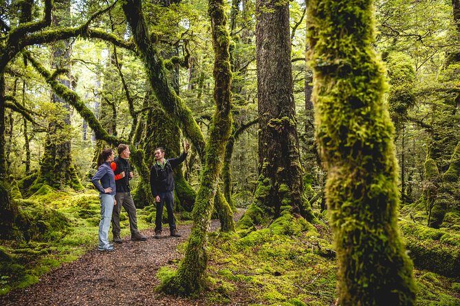 Full-Day Milford Sound Tour with Cruise and Walks from Te Anau - What’s Included and What’s Not
