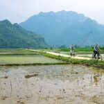 Full Day Motorbike Tour of Pu Luong Nature Reserve - Why Choose This Tour?
