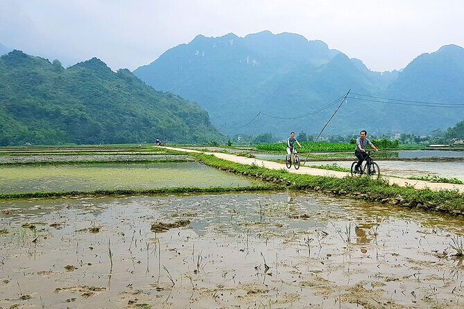 Full Day Motorbike Tour of Pu Luong Nature Reserve - Why Choose This Tour?