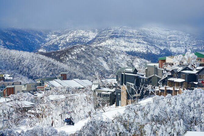 Full-Day Mount Buller Tour - The Itinerary in Detail