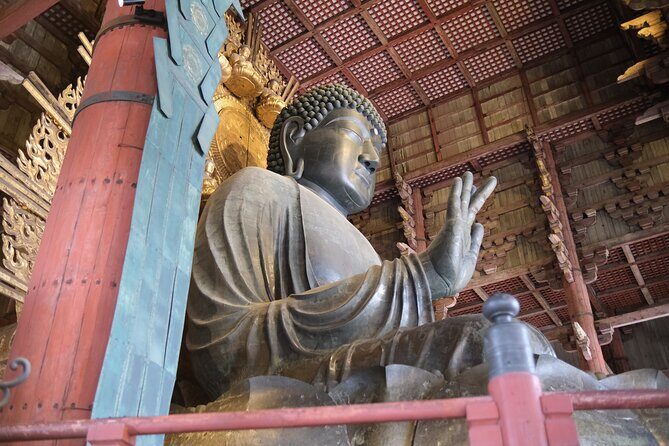 Full Day Nara E bike Tour and Osaka History Food Tour - The Practical Aspects and Value