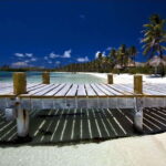 Full Day Nature Expedition to Contoy Island and Isla Mujeres - What’s Included and What’s Not