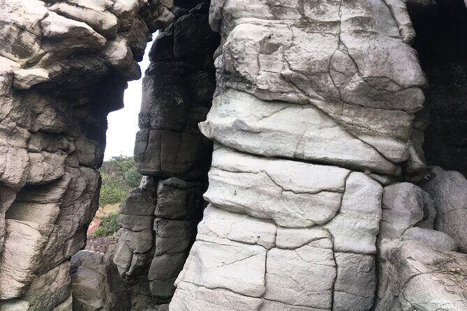 Full day Outdoor Rock Climbing Auckland at Ti Point - Why Choose This Tour?