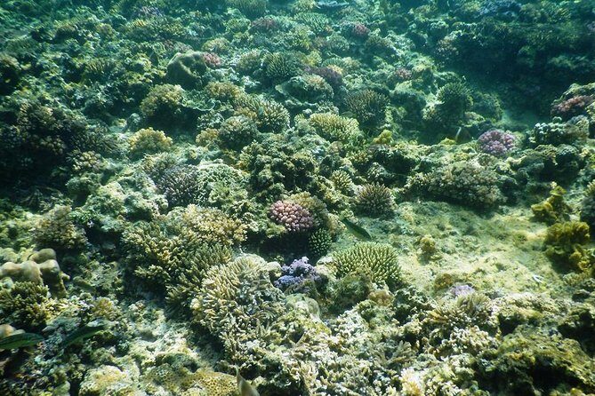 Full-day Phu Quoc Island Snorkeling Adventure - What Makes This Tour Special?