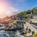 Full Day Private Busan Highlight Tour with Licensed Guide - Itinerary Breakdown: What to Expect at Each Stop
