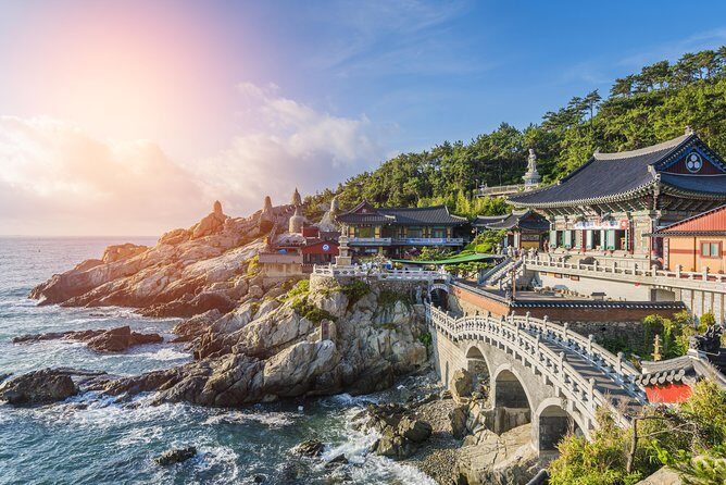 Full Day Private Busan Highlight Tour with Licensed Guide - Itinerary Breakdown: What to Expect at Each Stop