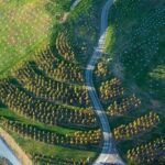 Full Day Private Canberra Day Trip From Sydney - A Deep Dive into the Canberra Itinerary: What You’ll Experience