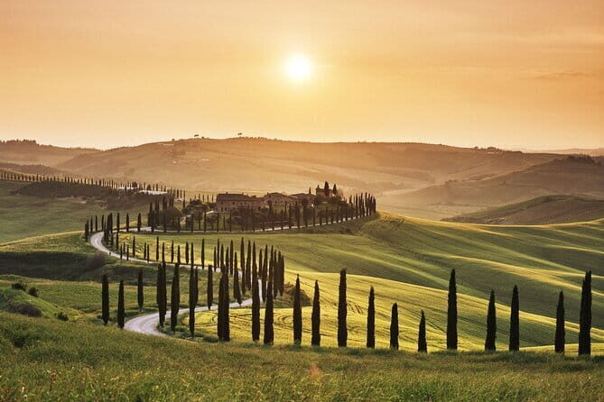 Full Day PRIVATE Guided Tour in Val D'Orcia Region - Transportation & Logistics: Comfort and Convenience