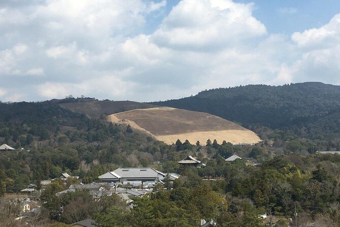 Full-Day Private Guided Tour to Nara Temples - Who Should Consider This Tour?