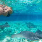 Full Day Private Shore Tour in Komodo from Labuan Bajo Port - Final Thoughts: Who Will Appreciate This Tour?