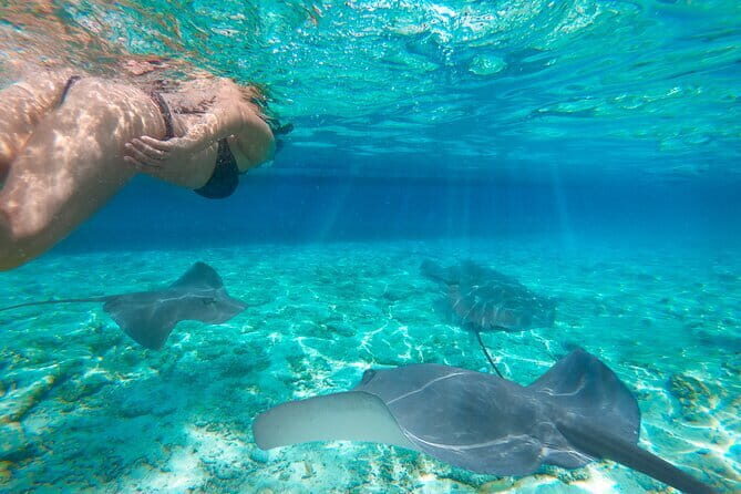 Full Day Private Shore Tour in Komodo from Labuan Bajo Port - Final Thoughts: Who Will Appreciate This Tour?