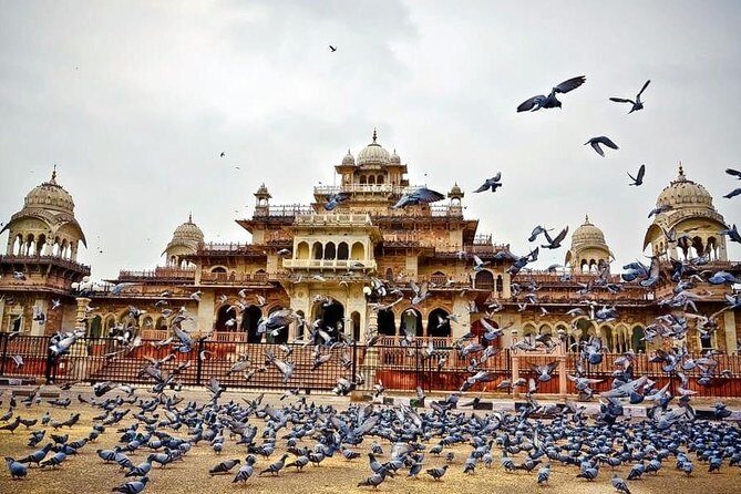 Full-Day Private Tour Heritage of Jaipur with Amber Fort - How the Tour Works in Practice: Transportation, Timing, and Value