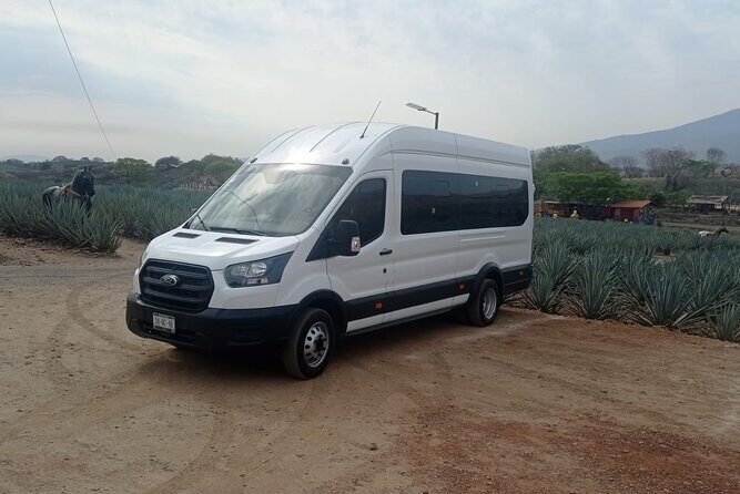 Full-Day Private Tour in Guadalajara - The Transport and Timing