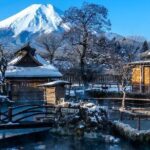Full Day Private Tour in Mt. Fuji and Hakone - Key Points