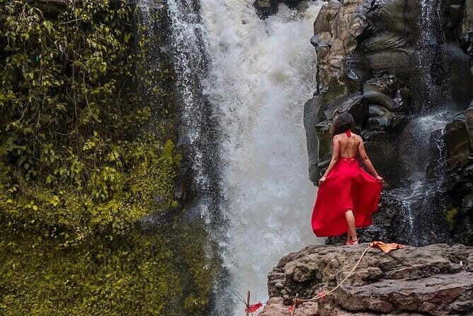 Full Day Private Tour in Ubud Jungle Swing and Waterfalls - What It Means for You as a Traveler