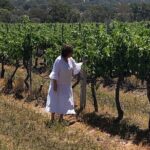 Full-Day Private Wine Tour of the Stanthorpe Area with Lunch - The First Winery: KOMINOS Wines