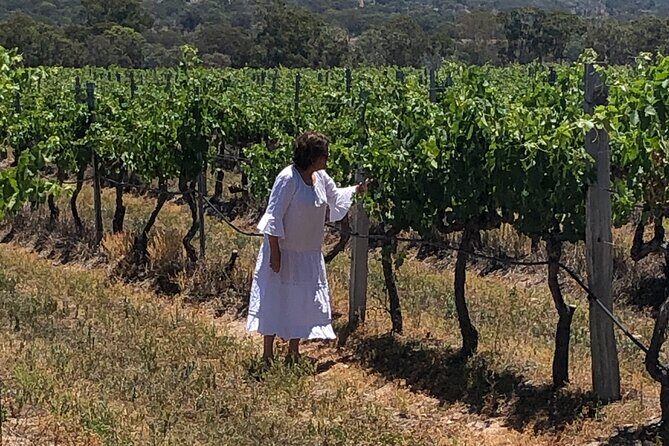 Full-Day Private Wine Tour of the Stanthorpe Area with Lunch - The First Winery: KOMINOS Wines