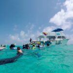 Full-Day Reef Snorkeling in Cozumel from Cancun with Lunch - Highlights and Possible Drawbacks