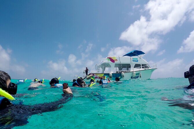 Full-Day Reef Snorkeling in Cozumel from Cancun with Lunch - Highlights and Possible Drawbacks