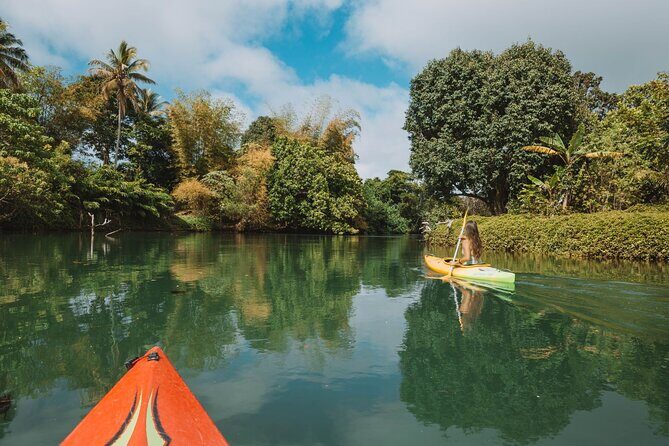 Full Day River Kayaking & Cascades from Port Vila - Why You Should Consider This Tour