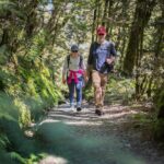 Full-Day Routeburn Track Key Summit Guided Walk from Te Anau - Transportation and Convenience