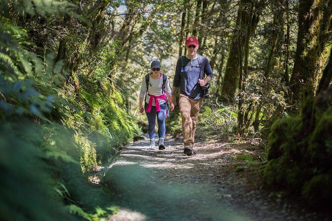 Full-Day Routeburn Track Key Summit Guided Walk from Te Anau - Transportation and Convenience