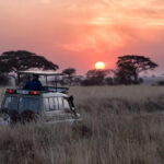 Full Day Safari in Bundala National Park With Picnic Lunch - The Value of This Tour