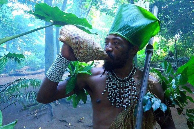 Full-Day Scenic Tour around the Island Tour from Port Vila - Evaluating the Experience