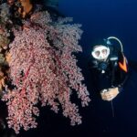 Full-Day Scuba Diving Experience of USAT Liberty in Tulamben - Authentic Perspectives from Past Participants