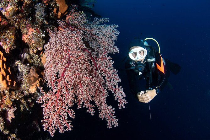 Full-Day Scuba Diving Experience of USAT Liberty in Tulamben - Authentic Perspectives from Past Participants