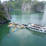 Full Day Sea Star Cruise to Lan Ha-Ha Long Bay Viet Hai village - What Travelers Are Saying