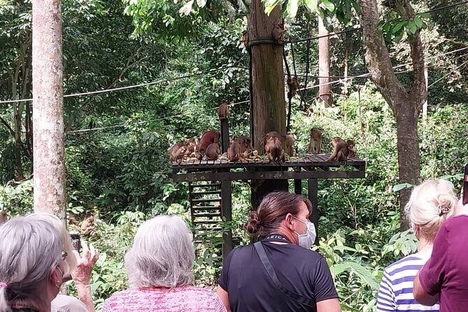 Full-Day Sepilok Orangutan and Sandakan City Trail from Kota Kinabalu - A Stroll Through Sandakan Town and Beyond