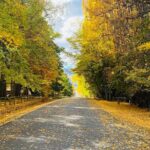 Full Day Sightseeing Tour To Discover Queenstown's Scenic Wonder - Who This Tour Is Best For