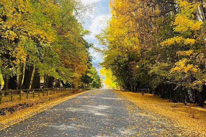 Full Day Sightseeing Tour To Discover Queenstown's Scenic Wonder - Who This Tour Is Best For