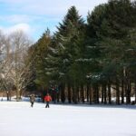 Full Day Strawberry Picking and Rail Bike in Nami Island - Transportation and Group Size