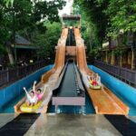 Full-Day Sunway lagoon Theme Park Tour - What to Expect on the Day