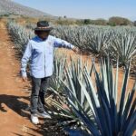 Full-Day Tequila Tour from Guadalajara - Who Is This Tour Perfect For?