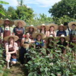 Full Day Thai Cooking Class in Organic Farm and Market - Hands-On Cooking: From Ingredients to Plate