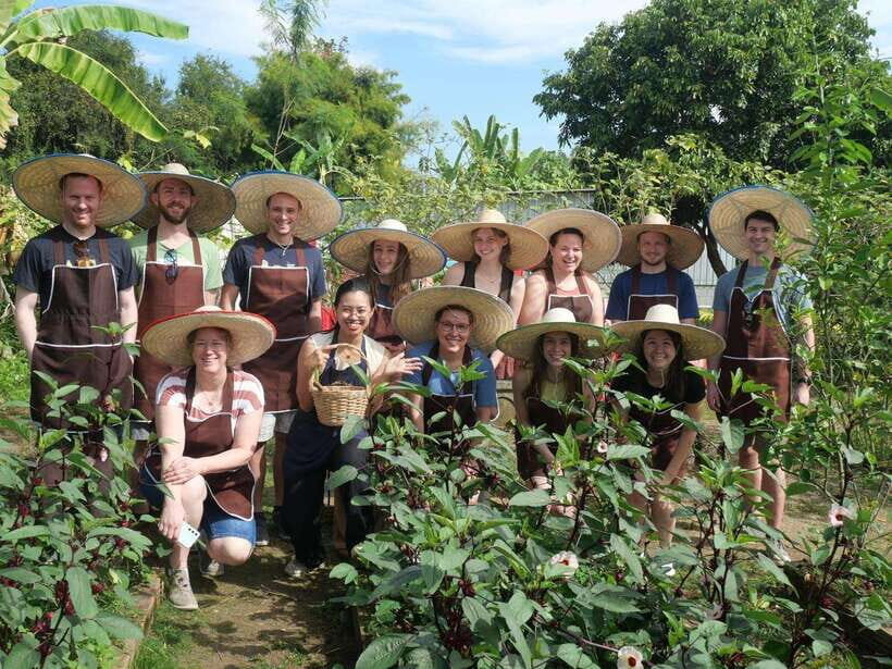 Full Day Thai Cooking Class in Organic Farm and Market - Hands-On Cooking: From Ingredients to Plate