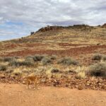 Full day The Painted Desert Tour in Outback South Australia - Why This Tour Is a Good Deal
