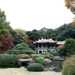 Full Day Tokyo Chartered Taxi Tour - Pricing and Value