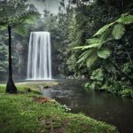 Full-day Tour at the Atherton Tablelands with Food Tasting - Who Will Love This Tour?