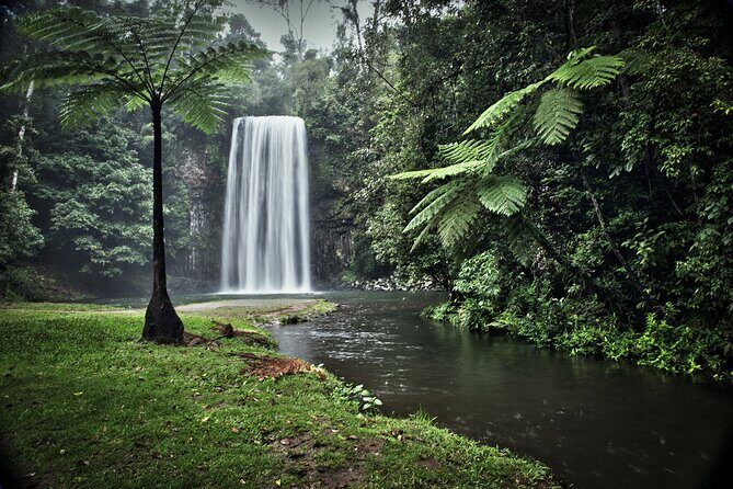 Full-day Tour at the Atherton Tablelands with Food Tasting - Who Will Love This Tour?