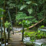 Full Day Tour Cascades Adventure, Turtles and Blue Lagoon - Authentic Experiences and Customer Feedback