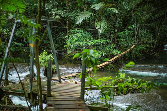 Full Day Tour Cascades Adventure, Turtles and Blue Lagoon - Authentic Experiences and Customer Feedback