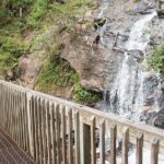 Full Day Tour from Atlanta to Amicalola Falls and Blue Ridge - Itinerary Breakdown: What to Expect