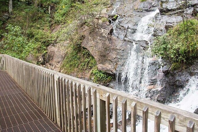 Full Day Tour from Atlanta to Amicalola Falls and Blue Ridge - Itinerary Breakdown: What to Expect