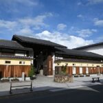 Full-Day Tour: Immerse in Takayama's History and Temples - Who is This Tour Best For?