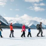 Full Day Tour in Lake Louise and Ice field Parkway - Practicalities and What to Expect