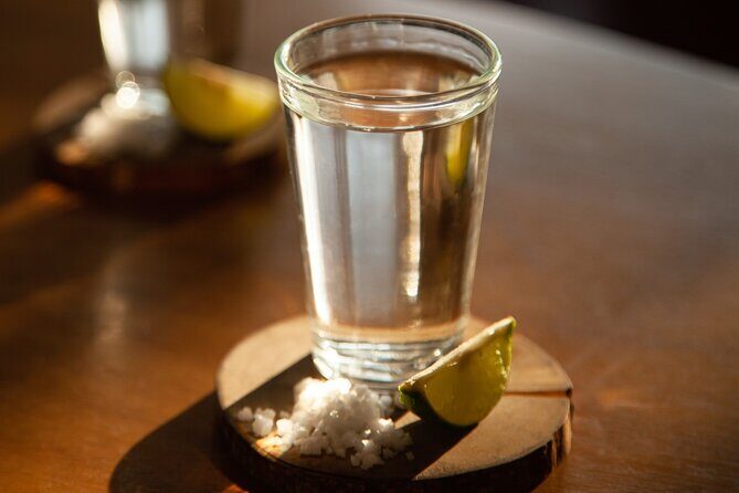 Full-Day Tour in Tequila factory and Cantaritos el Gúero - Final Thoughts: Who Will Love This Tour?